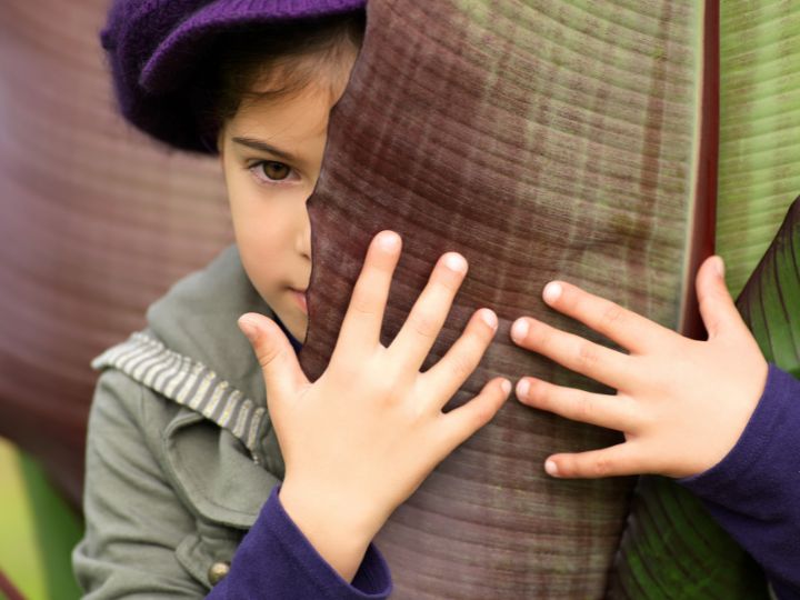 What is Hyperlexia | Childwise
